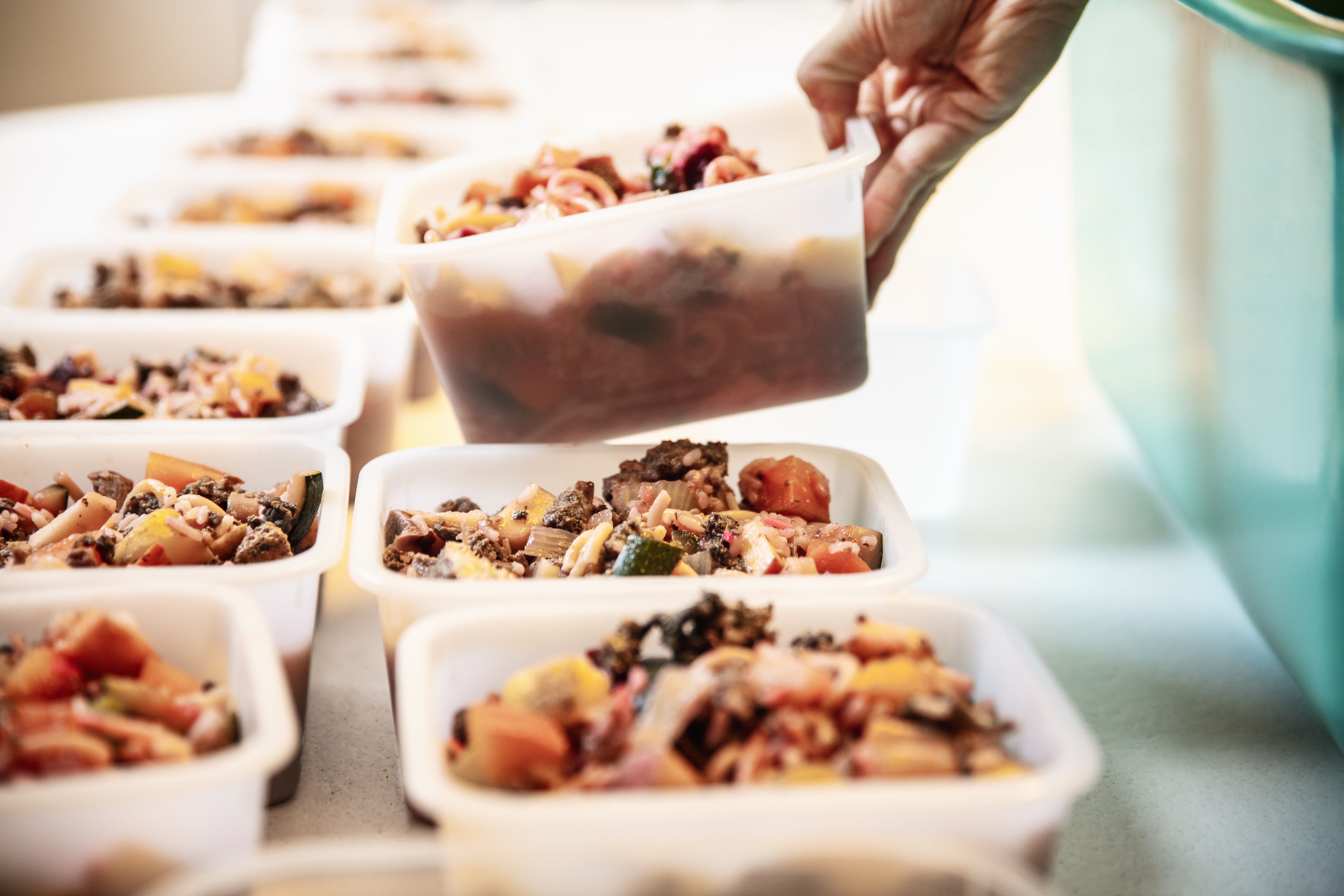 5 Benefits of Fresh Food for Dogs | Rufus & Coco Australia