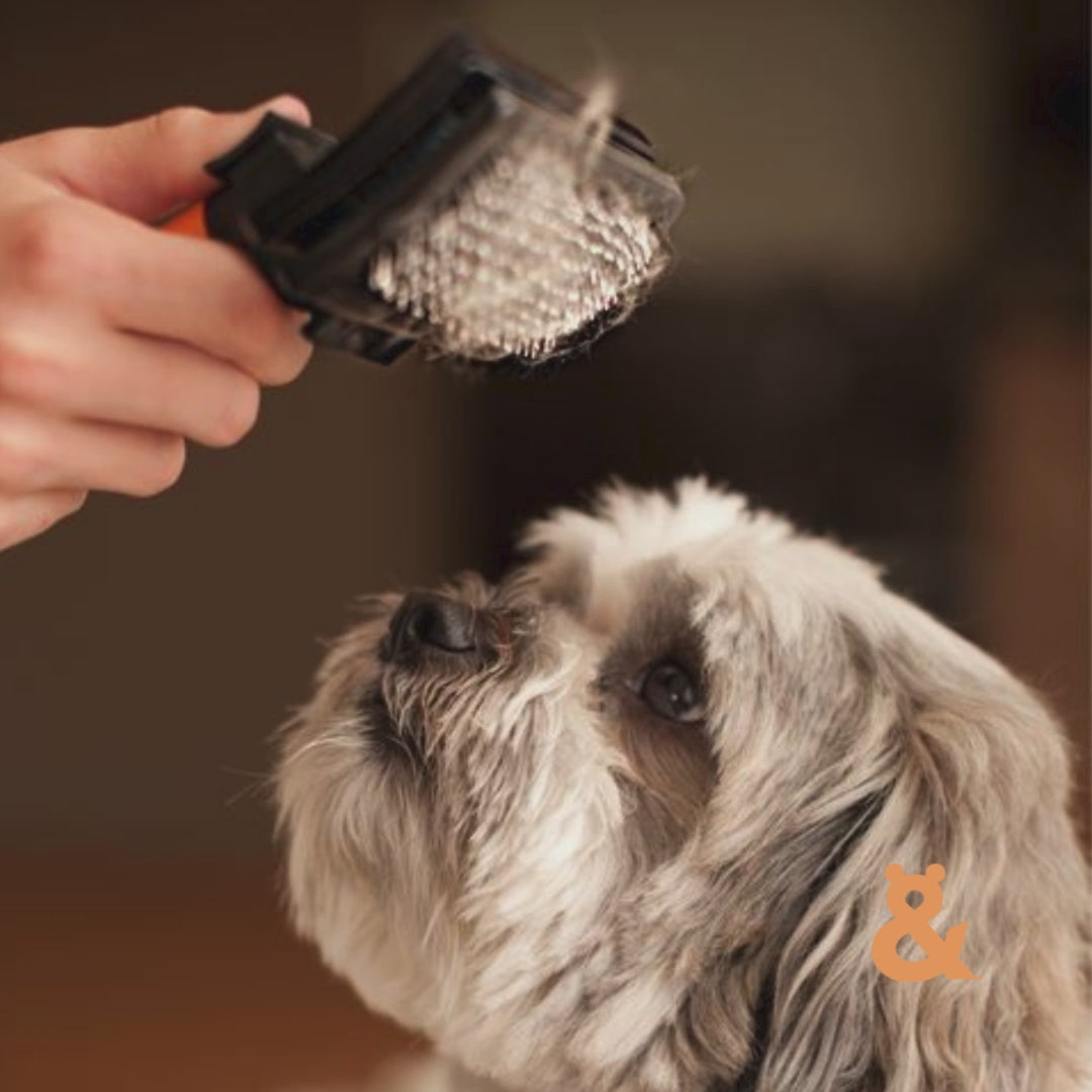 Ultimate Grooming Bundle | Rufus & Coco Australia